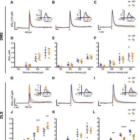 h α syn differently alters da release depending on the age and striatal download scientific
