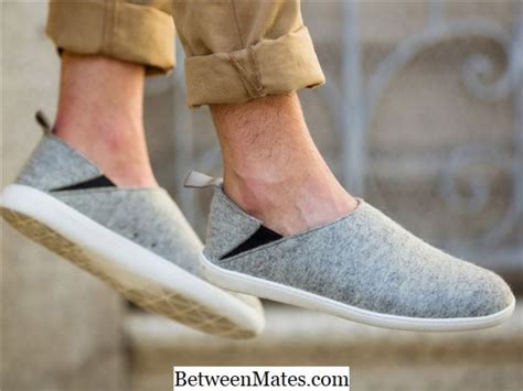 Slip와 Ppp의 차이 다른 사람 2025