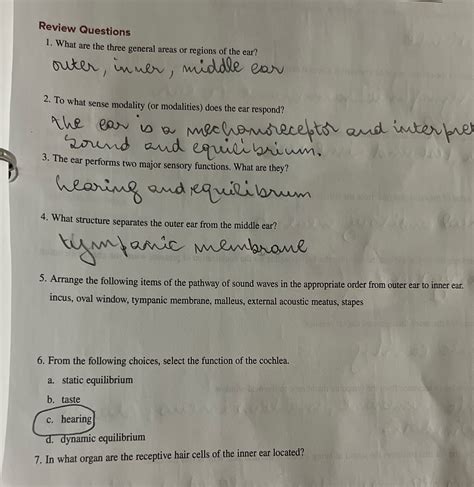 Solved Please Review Questions 1 What Are The Three General Areas