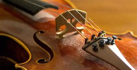 A Complete Guide To Violin Tuning Or How To Tune A Violin TheOmniBuzz