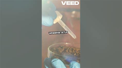 Master Java Inheritance Selenium Testing Explained Shorts Automation Short Youtube