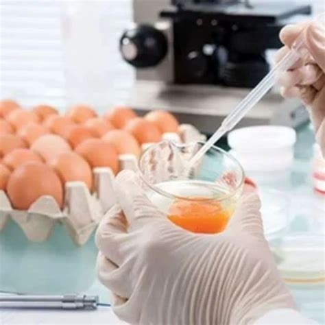 Egg Product Testing Service At ₹ 10000 Sample In Ghaziabad Id 2852712311033