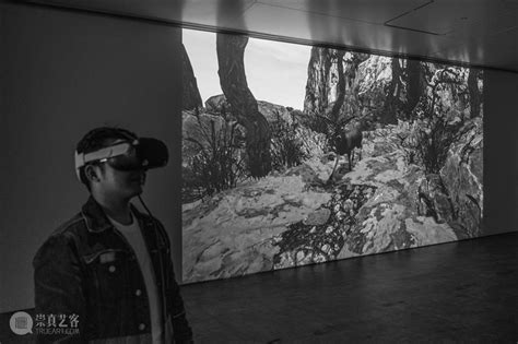 大华银行艺术画廊新展 史金淞and杨泳梁的“对影”现场 热点聚焦 崇真艺客