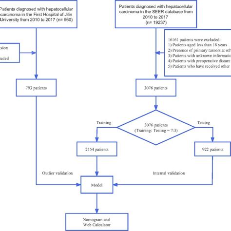 The Workflow Of The Selection Procedure For Hcc Patients Download Scientific Diagram