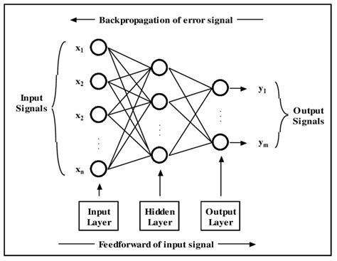 3 Structure Of A Multi Layer Network And Signal Propagation Through The
