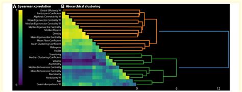 Collinearity Between Predictive Measures A Spearman Correlation