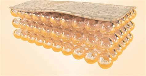 인체 내부서 완벽하게 성장하는 이식용 피부