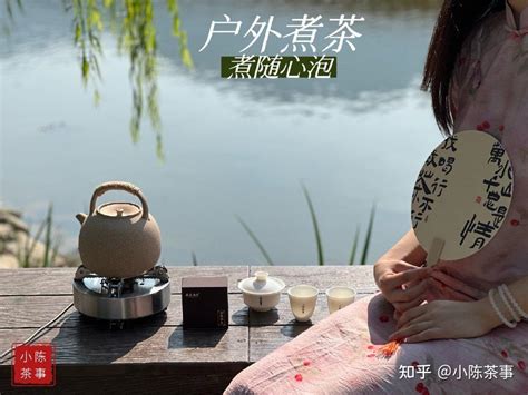 粗陶壶、养生壶、焖烧壶、玻璃壶，哪种茶壶才适合煮老白茶？ 知乎