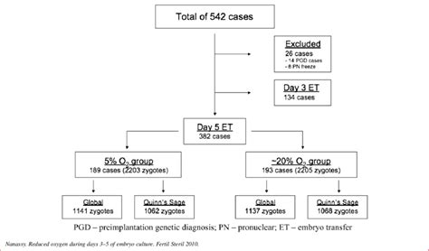 Patient Group Assignment Flow Chart Download Scientific Diagram
