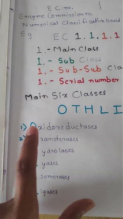Trick To Remember Enzyme Classification Youtube