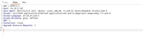 Tryhackme Burpsuite Repeater