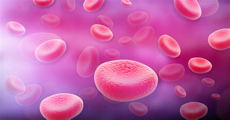 Fundamentals Of Pathophysiology Freecampus