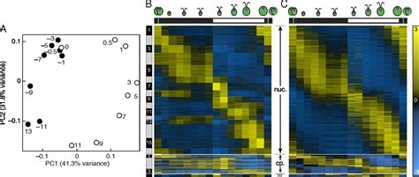 Multiomics Resolution Of Molecular Events During A Day In The Life Of