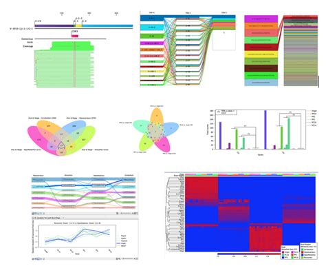 Learn Whats New In Qiagen Clc Genomics Workbench Version 23 Bioinformatics Software Qiagen