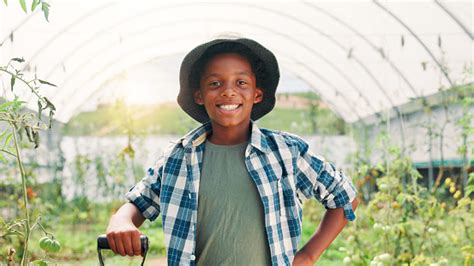 농부 농업 채소 및 성장을 위한 온실에서 흑인 아이와 함께 미소와 초상화 지속 가능성 식량 생산 및 시골 환경 친화적 인 수확을