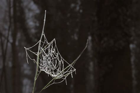 From Concept To Code Inside The Bespoke Web App Development Process Kmf Blogs