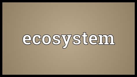 Ecosystem Meaning YouTube
