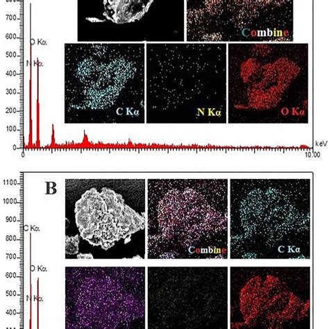 Elemental Mapping And Sem Eds Spectra Of Go Cs Pva Aerogel A Before Download Scientific