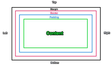 The Box Model And Padding Codemahal