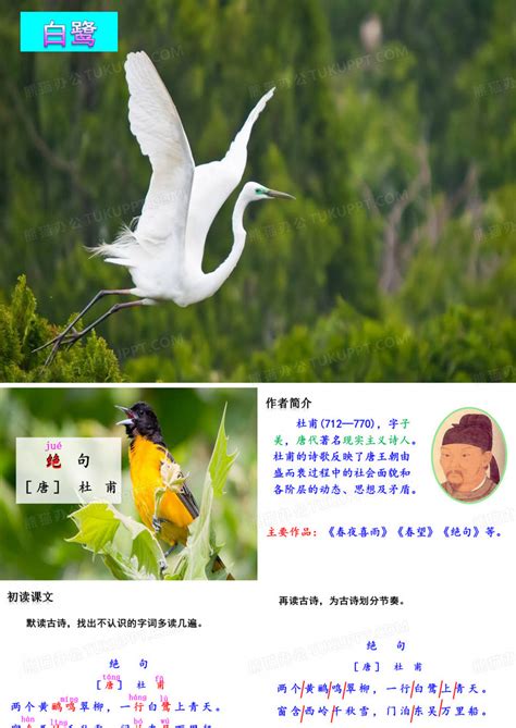 部编版二年级下册第15课古诗二首绝句两个黄鹂鸣翠柳教学课件ppt模板下载编号qpmpzwwp熊猫办公