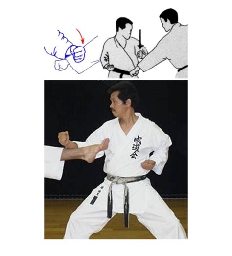 Otoshi Uke Projeto Shotokan Karatê Do