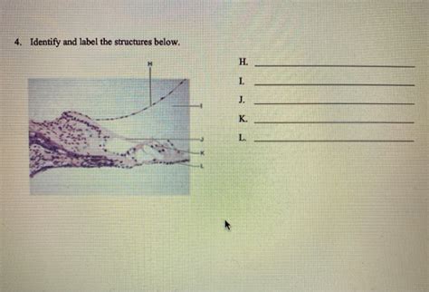 Solved 4 Identify And Label The Structures Below H I J Chegg Com