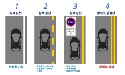 자전거 운전자와 길가장자리구역선 네이버 포스트