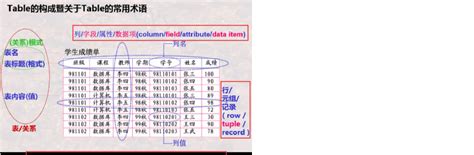 数据库基本知识与关系模型word文档在线阅读与下载免费文档
