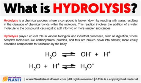 What Is Hydrolysis Definition Of Hydrolysis