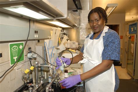 Histo Lab 039 The Pathology Blog