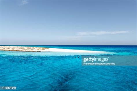 Hamata Photos And Premium High Res Pictures Getty Images