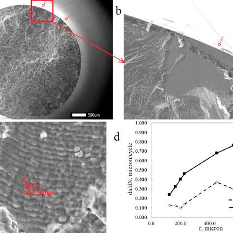 Microstructure Of The Fracture Surface During The Tests At 550 O C A