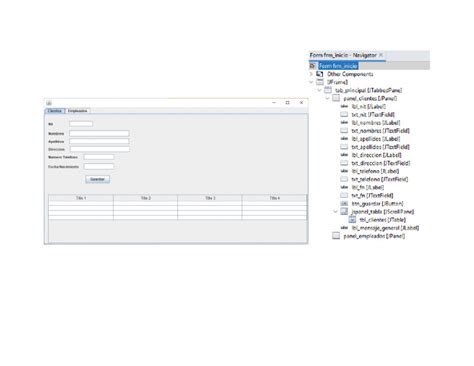 java form pdf
