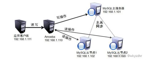 案例：mysql主从复制与读写分离 Csdn博客