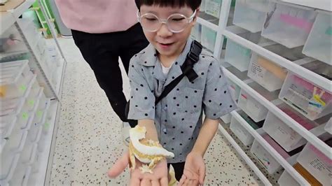 폭풍성장의 비결 마뱀이 소개합니다 크레스티드게코 게코도마뱀 Youtube