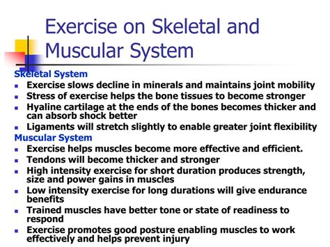 PPT Mastering Skeletal Anatomy Bones Joints And Muscles For Beginners PowerPoint