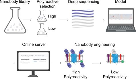 development of a computational tool to assess and mitigate