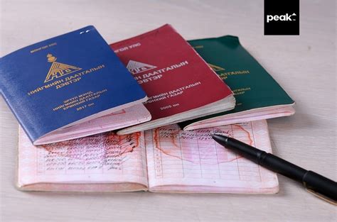 Гурав хүртэлх насны хүүхдээ асарч буй сайн дурын даатгуулагч эхийн анхааралд Peak News