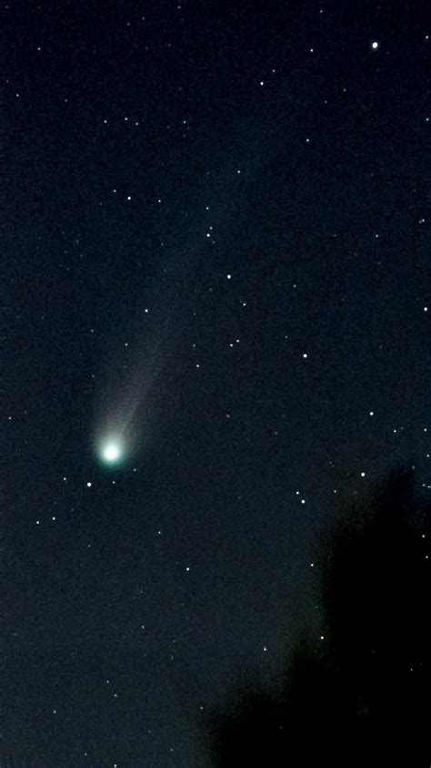 Comet 12p Pons Brooks R Seestar