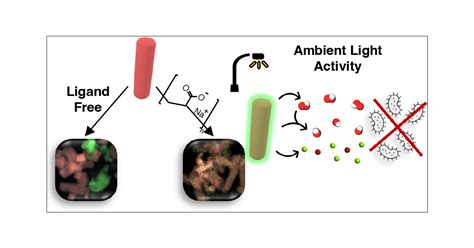 Photoactive Antimicrobial Cuzno Nanocrystals The Journal Of Physical Chemistry C