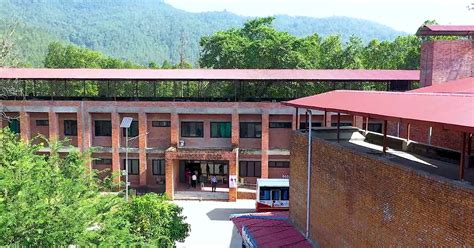Amda Nepal