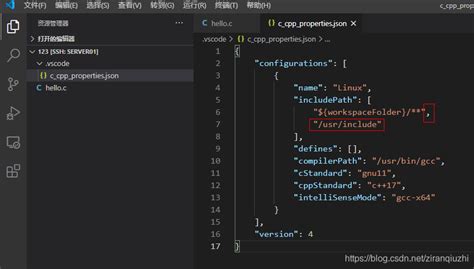 vscode远程调试linux环境的c程序 csdn博客