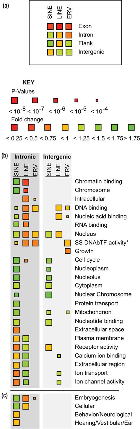Genome Wide Nucleotide Composition Gene Structure And Gene Annotation Download Scientific