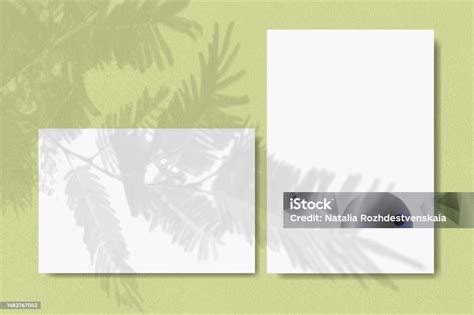 파란색 벽 배경에 흰 종이의 수평 및 수직 시트입니다 식물 그림자의 오버레이로 모형을 만드십시오 자연광은 투이 가지에서 그림자를 드리운다 0명에 대한 스톡 벡터 아트 및