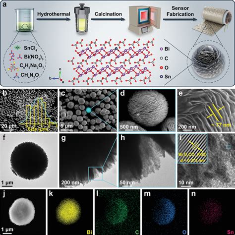 A Schematic Illustration Of The Synthesis Of Lamellar Sn‐doped Bco