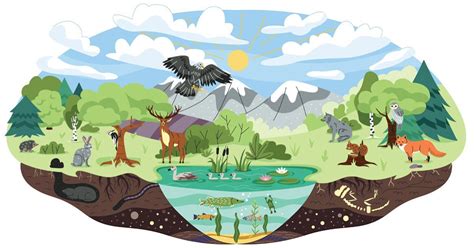 Biosfera E Suas Camadas O Que é E Como Se Dividem Toda Matéria