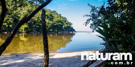 Praia Do Puruba Ubatuba O Que Fazer E Fotos Naturam