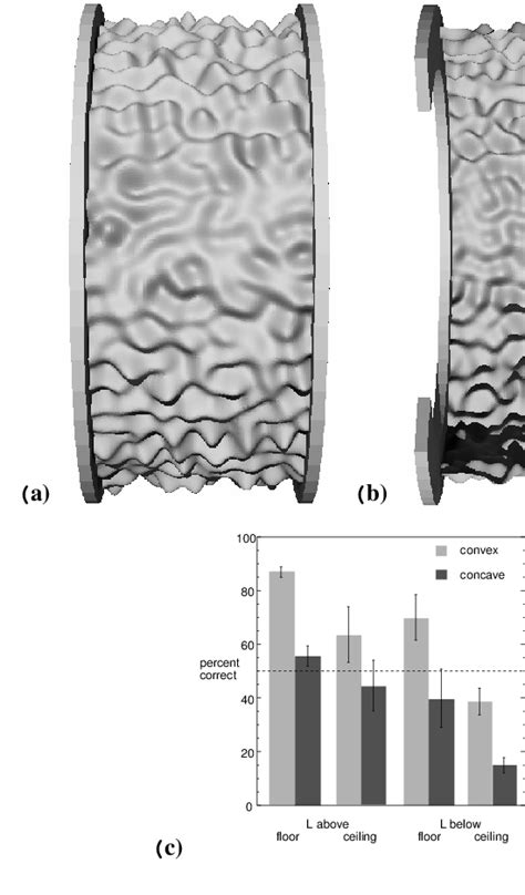Two Surfaces Are Shown A A Globally Convex Surface Illuminated From Download Scientific