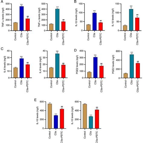 Complement C3a And C5a Promote Cell Viability And Inflammation Of HRPE Download Scientific