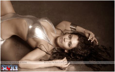 Ihwalls Com World Of Wallpapers Payal Rohatgi Hot Photos Hq